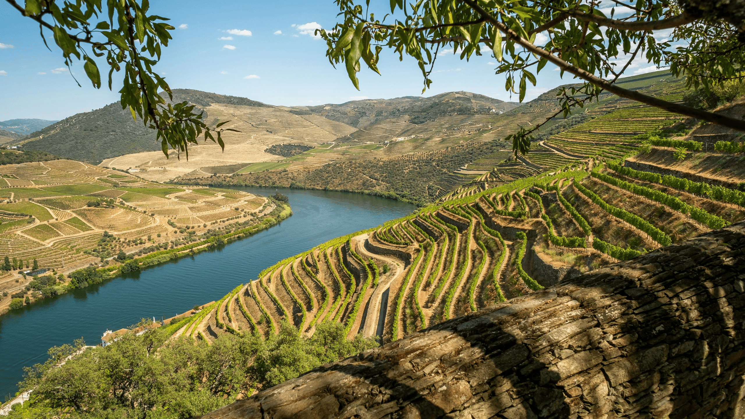 10 must-see places to visit in the Douro region in 2025 - Mr.Vancamper